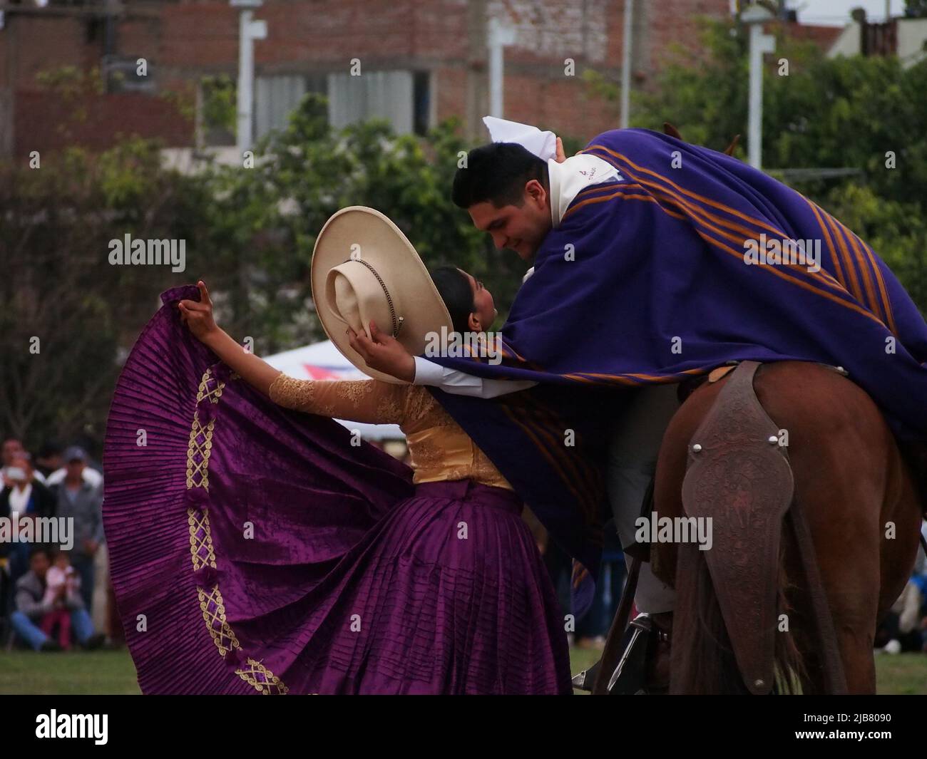 "IX Festival Dpaso Peruano"; an exhibition of Peruvian Paso horses, as ...
