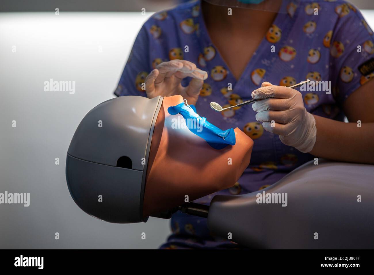 Dental treatment training with model human heads for students of the ...