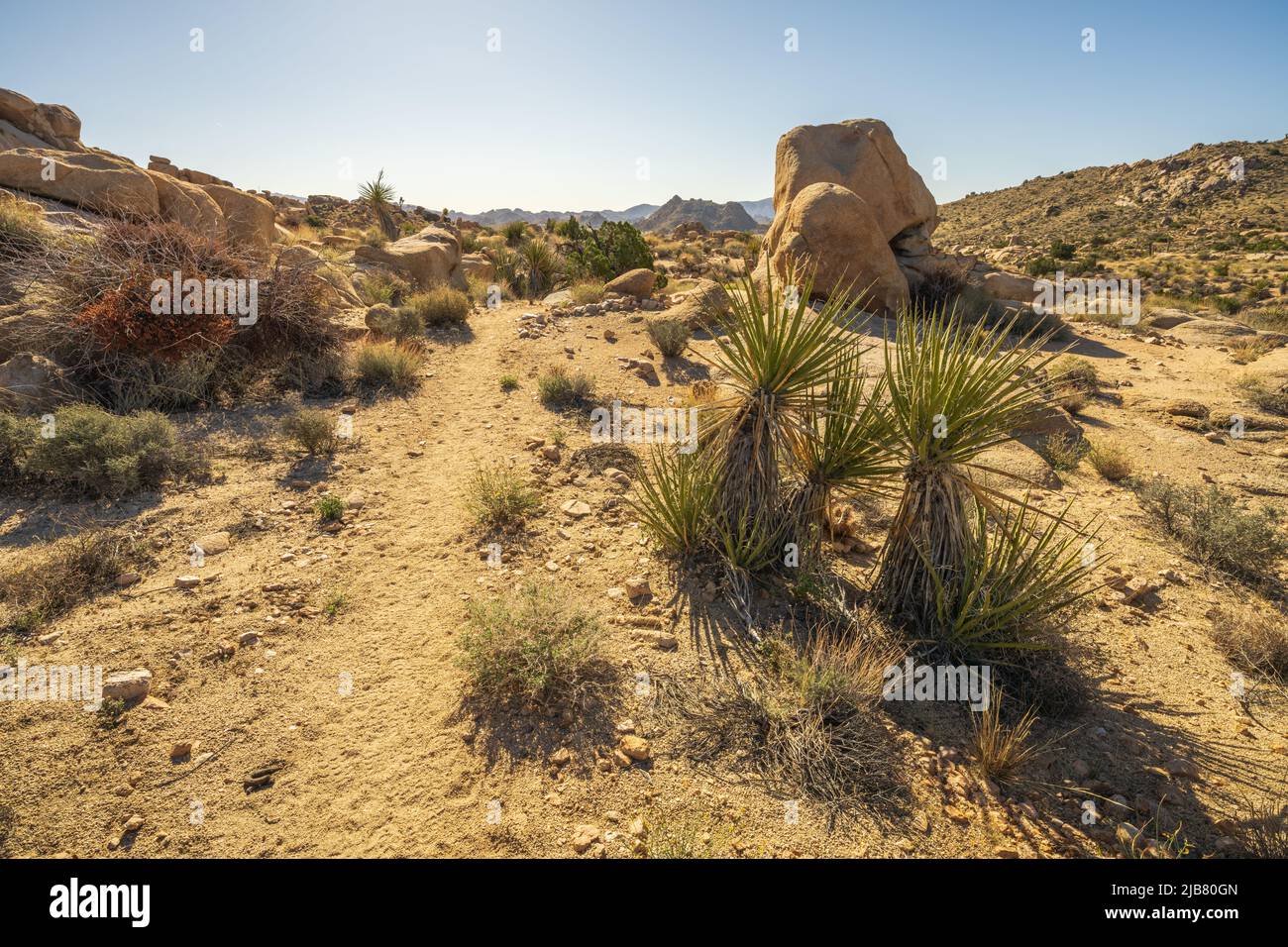 hiking the maze loop in joshua tree national park in california, usa ...