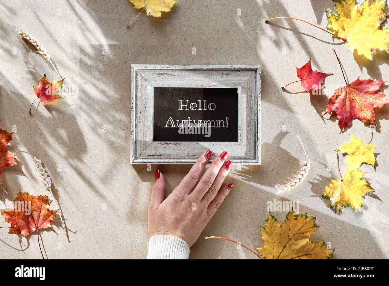 Pink fuchsia border with Autumn decor. Monochromatic look with pink ...