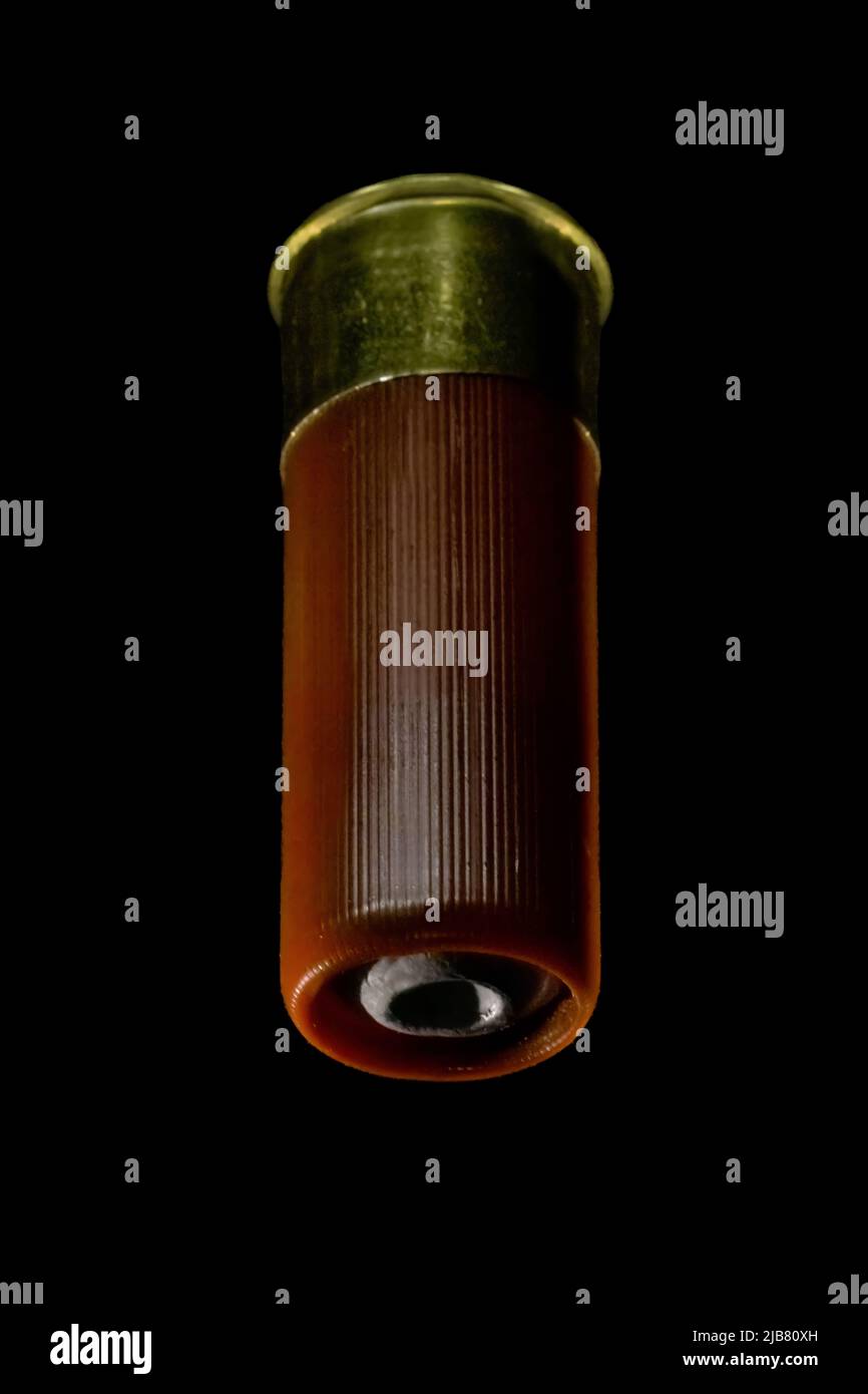 Photo of a 12-gauge shot gun rifled slug shotshell Stock Photo - Alamy