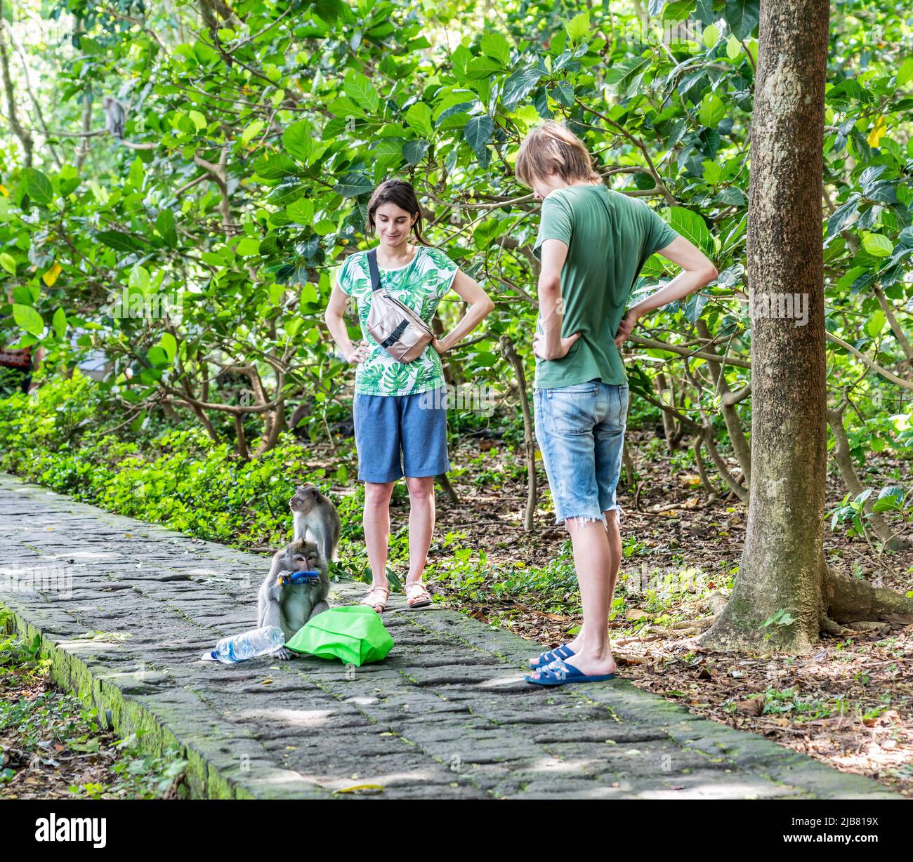 Monkey stealing things hi-res stock photography and images - Alamy
