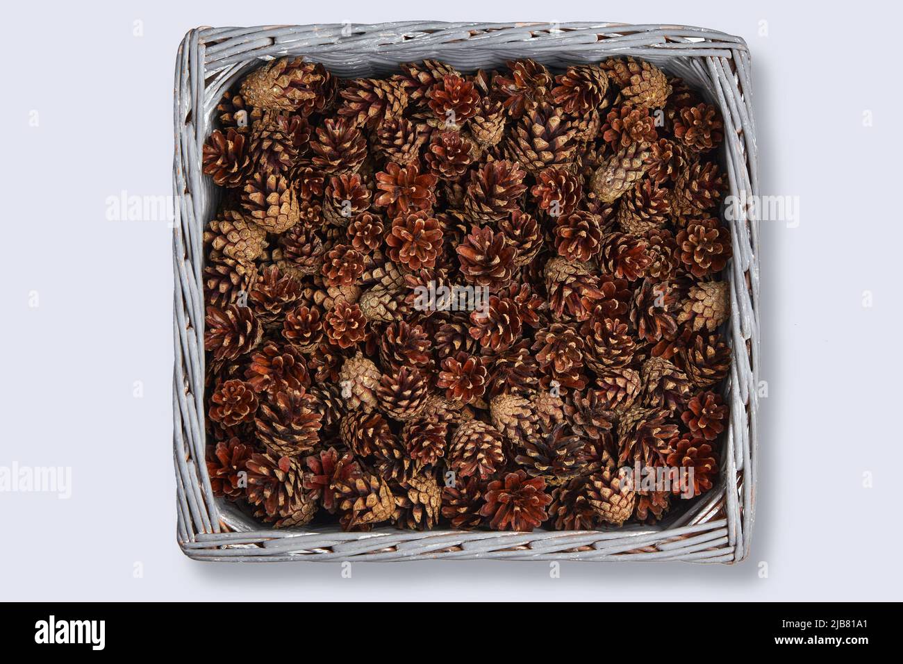 Basket of pine cones hi-res stock photography and images - Alamy