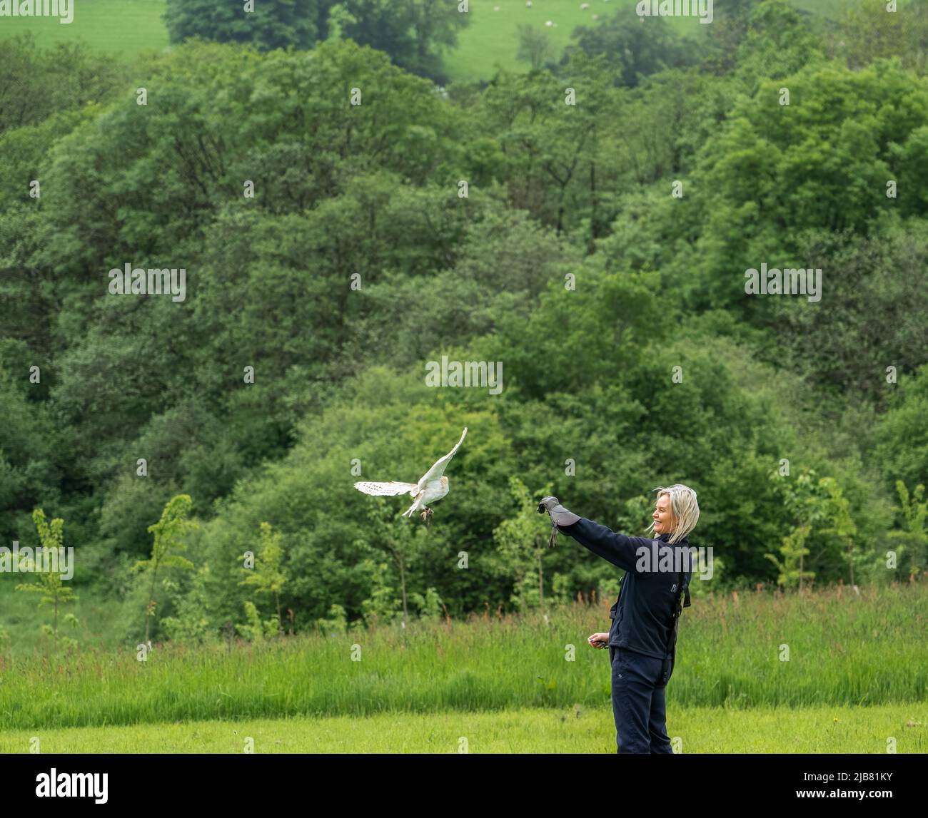 Dive diva hi-res stock photography and images - Alamy