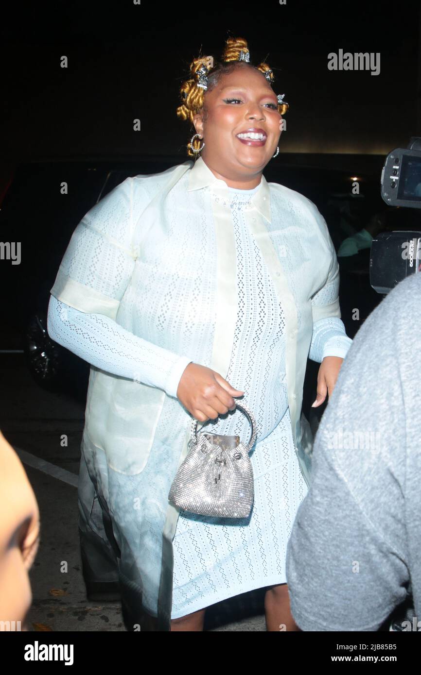 Singer Lizzo aka Melissa Viviane Jefferson seen out and about in Los ...