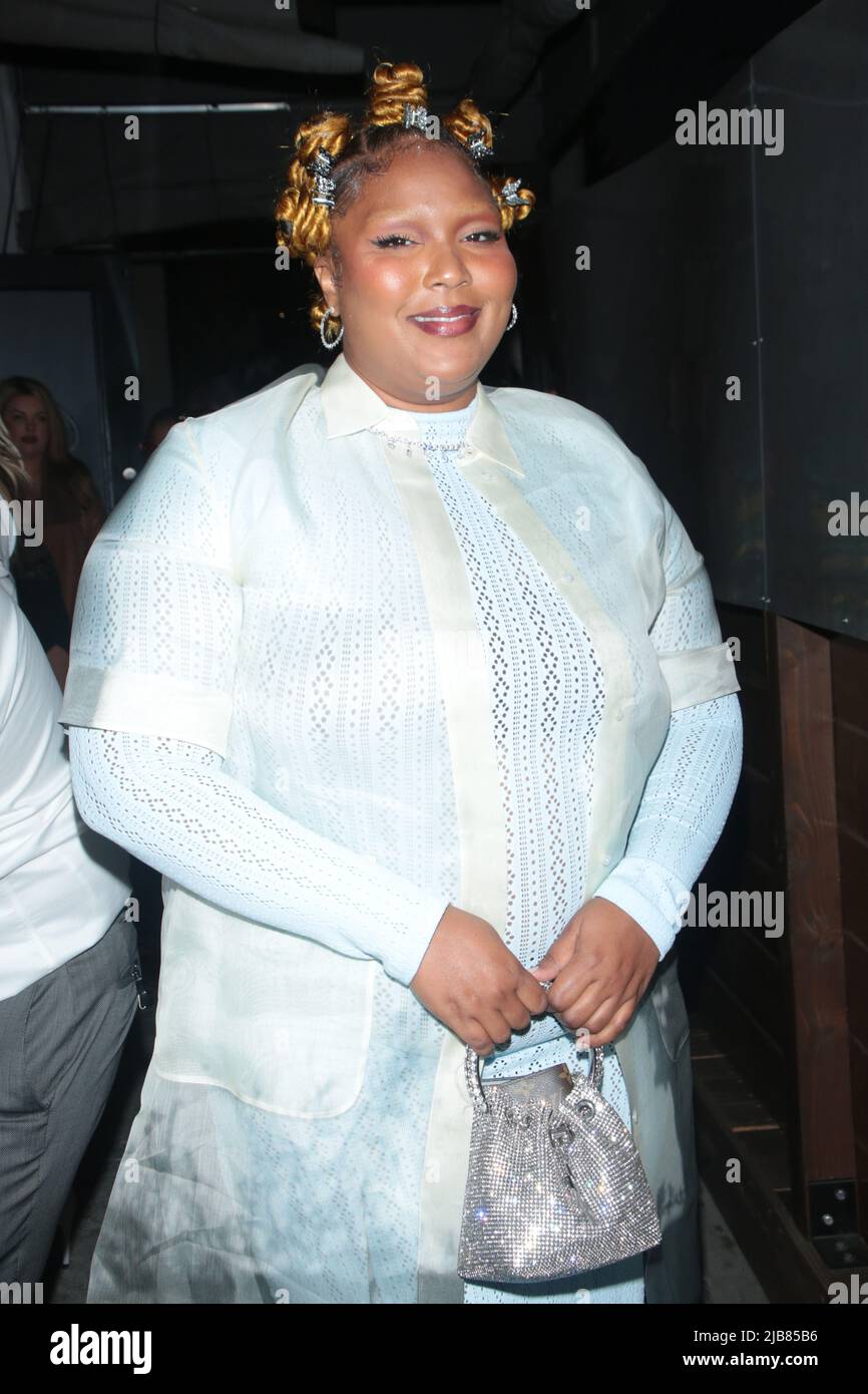 Singer Lizzo aka Melissa Viviane Jefferson seen out and about in Los ...