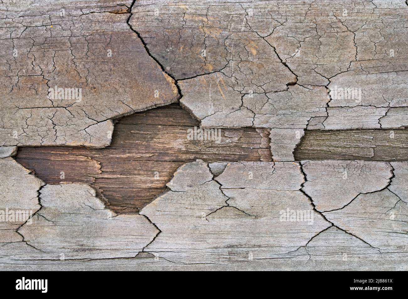Weathered and cracked wood has an interesting look and pattern to it ...