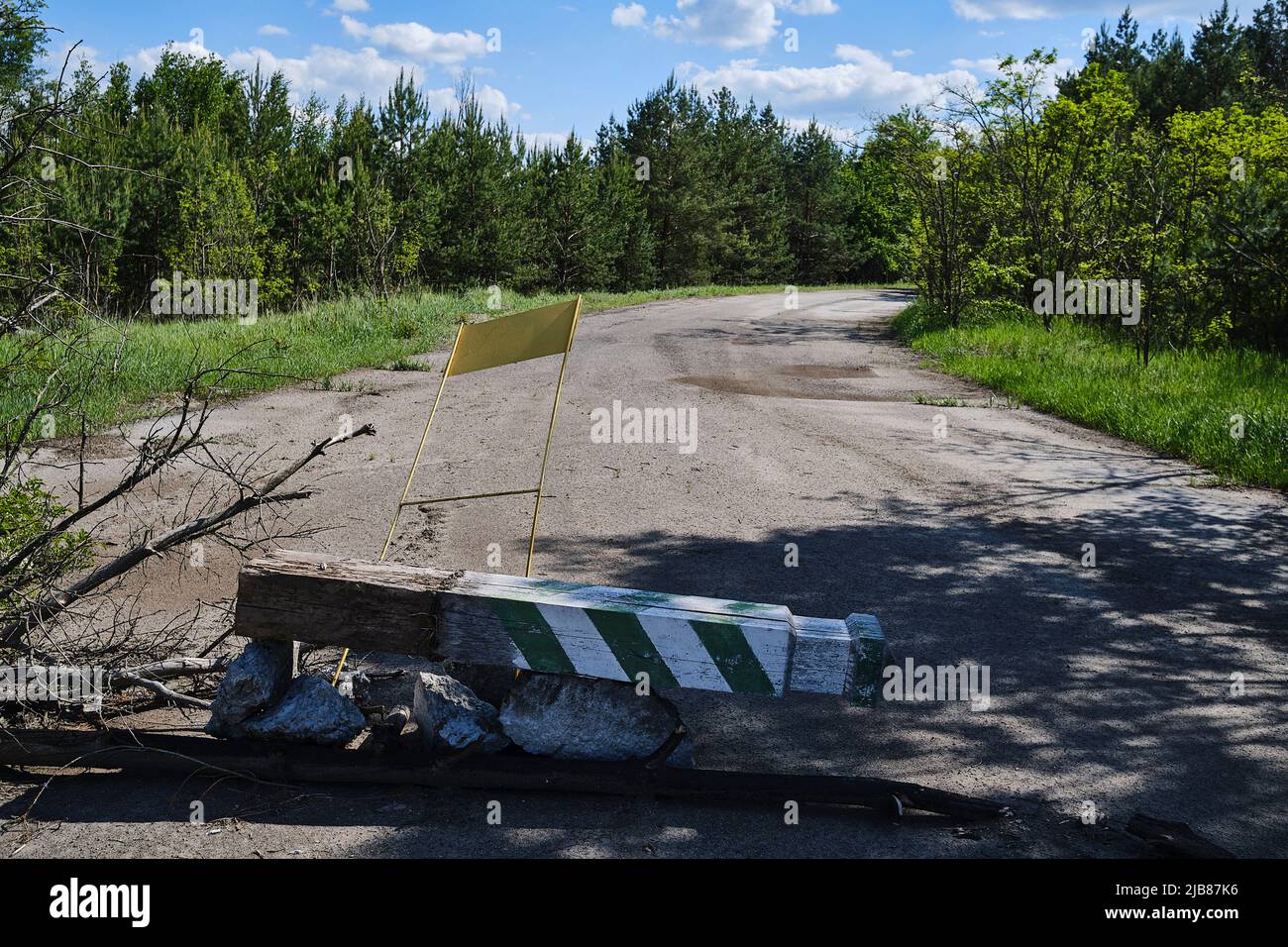 Red forest chernobyl High Resolution Stock Photography and Images - Alamy