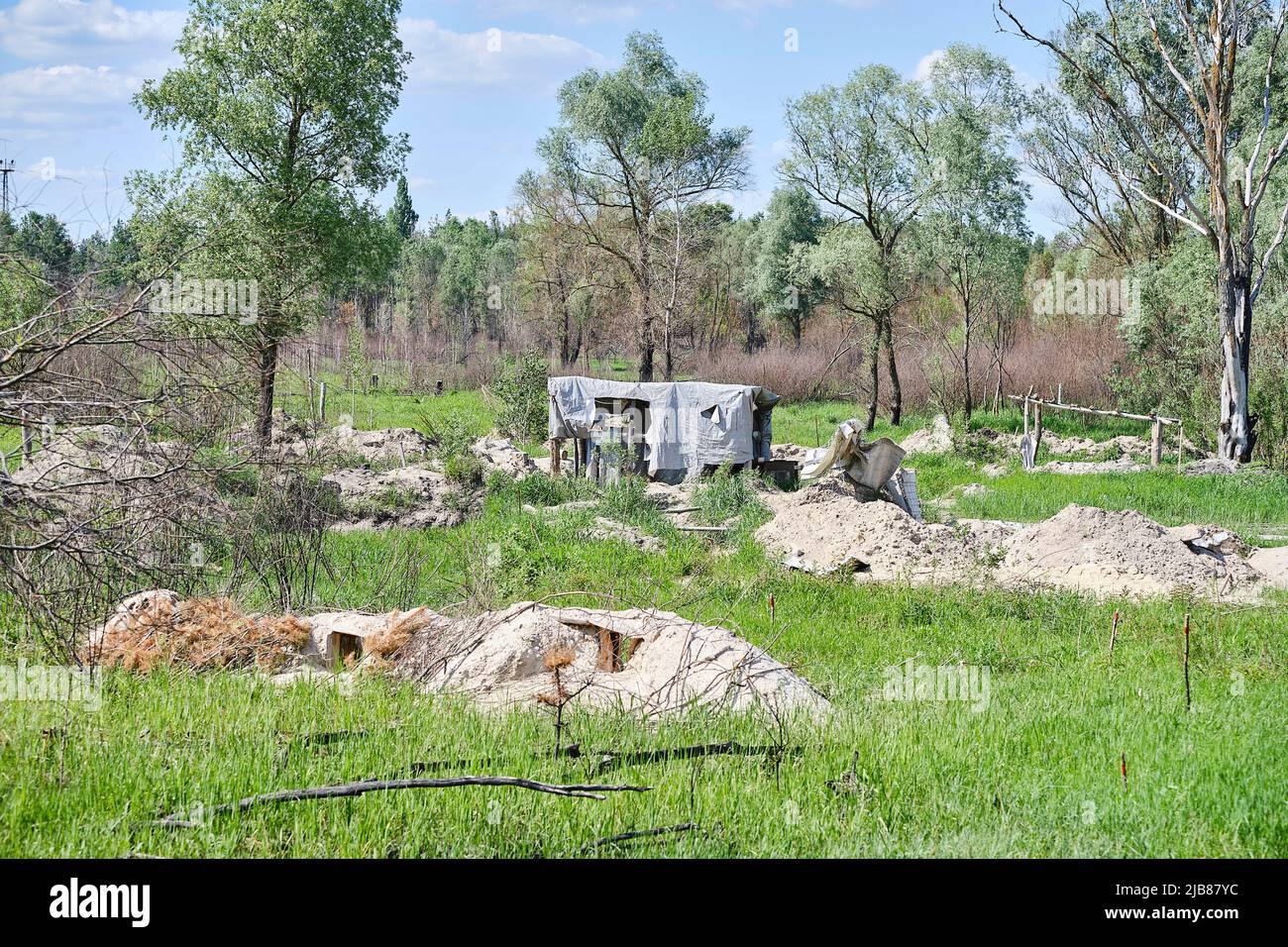 Red forest chernobyl High Resolution Stock Photography and Images - Alamy