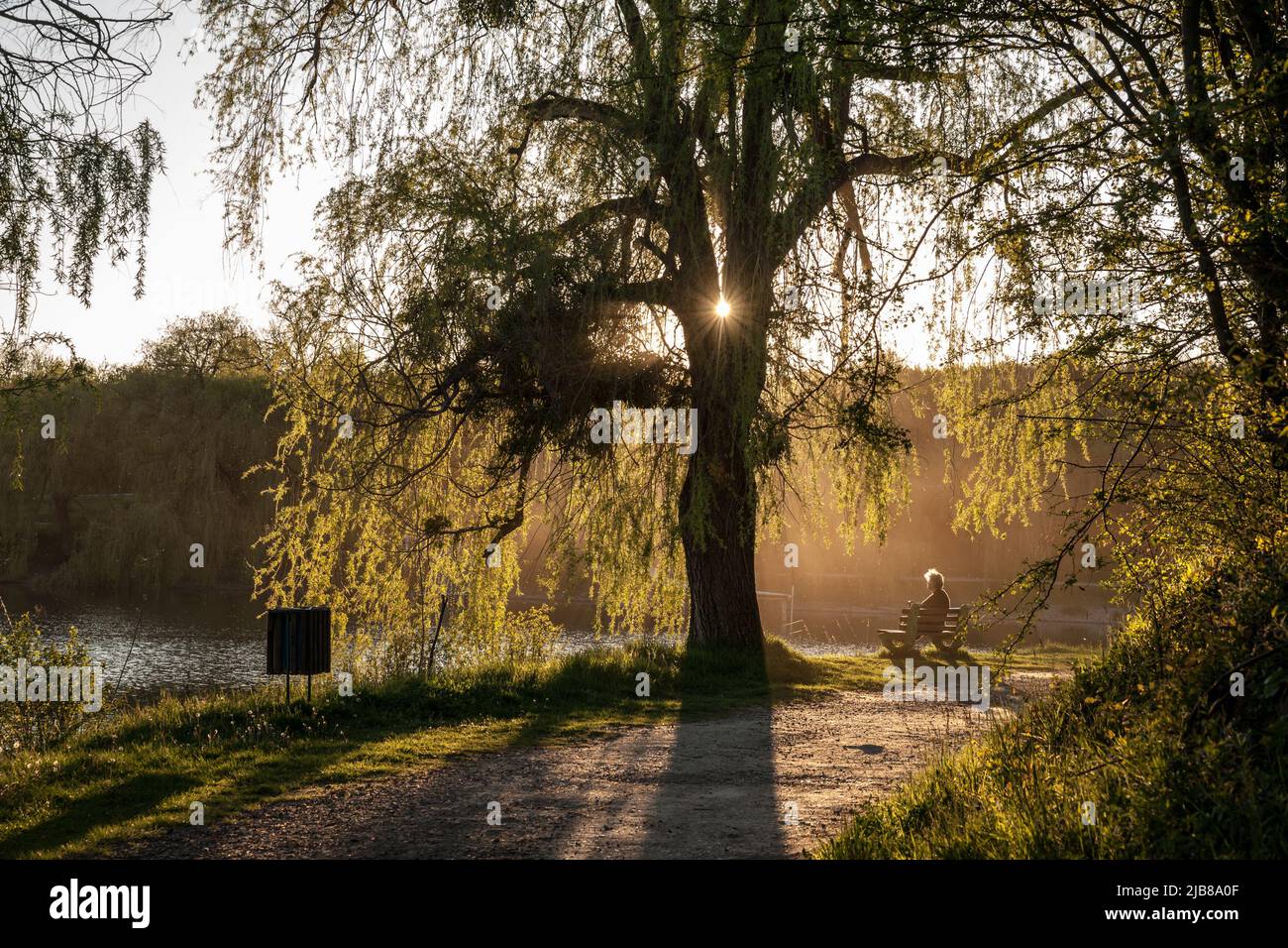 Panorama of the nature in Sot Lake, also called Sotsko Jezero, with a ...