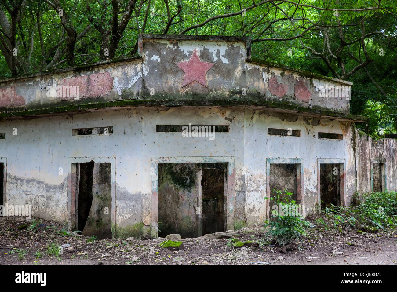 Remains of the destroyed houses of the Armero Town covered by trees and ...