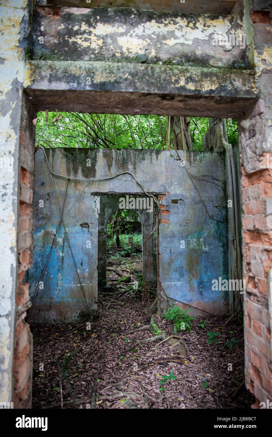 Remains of the destroyed houses of the Armero Town covered by trees and ...