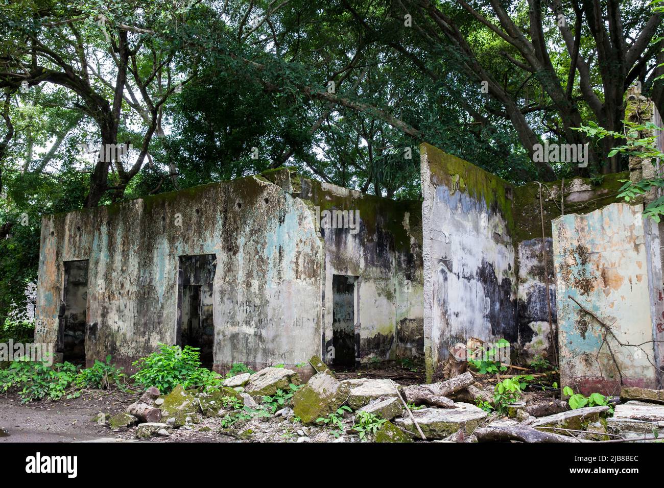 Remains of the destroyed houses of the Armero Town covered by trees and ...