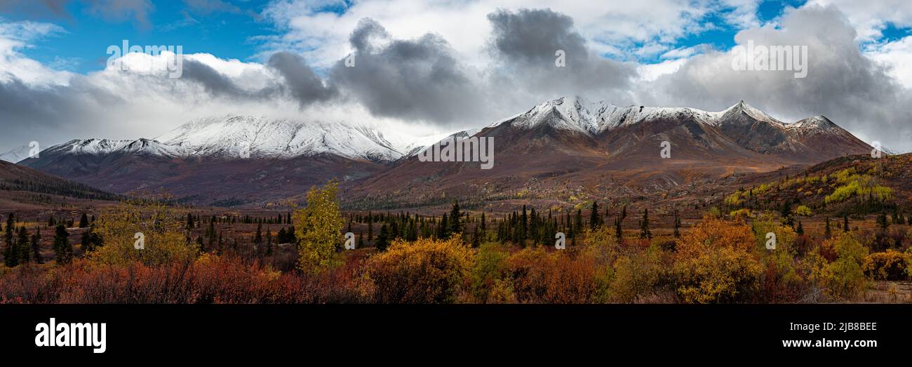 Yukon gold rush arctic hi-res stock photography and images - Alamy