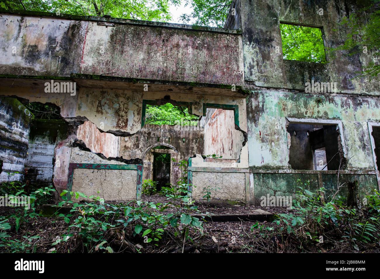 Remains of the destroyed houses of the Armero Town covered by trees and ...