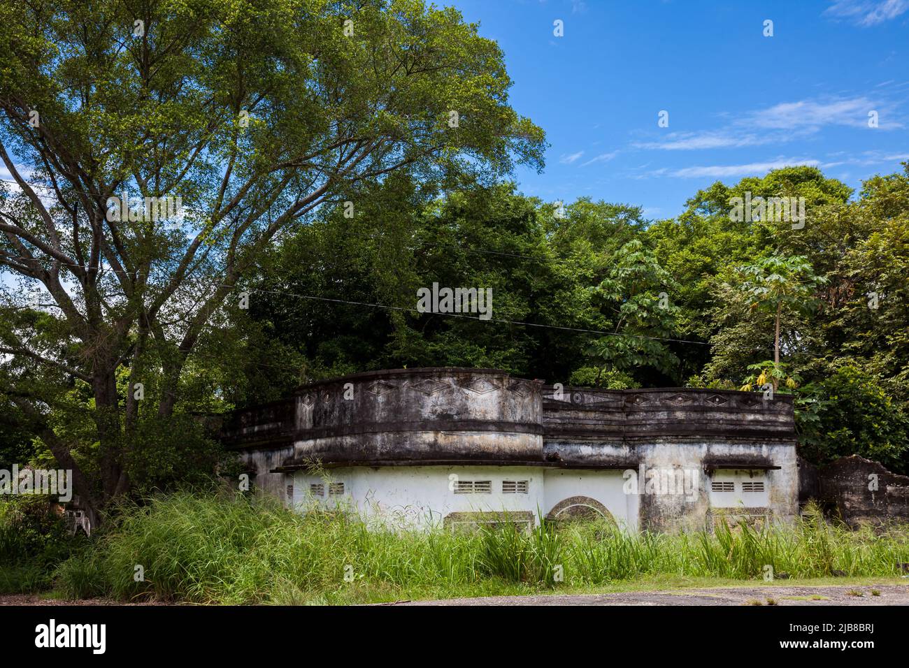 Remains of the destroyed houses of the Armero Town covered by trees and ...