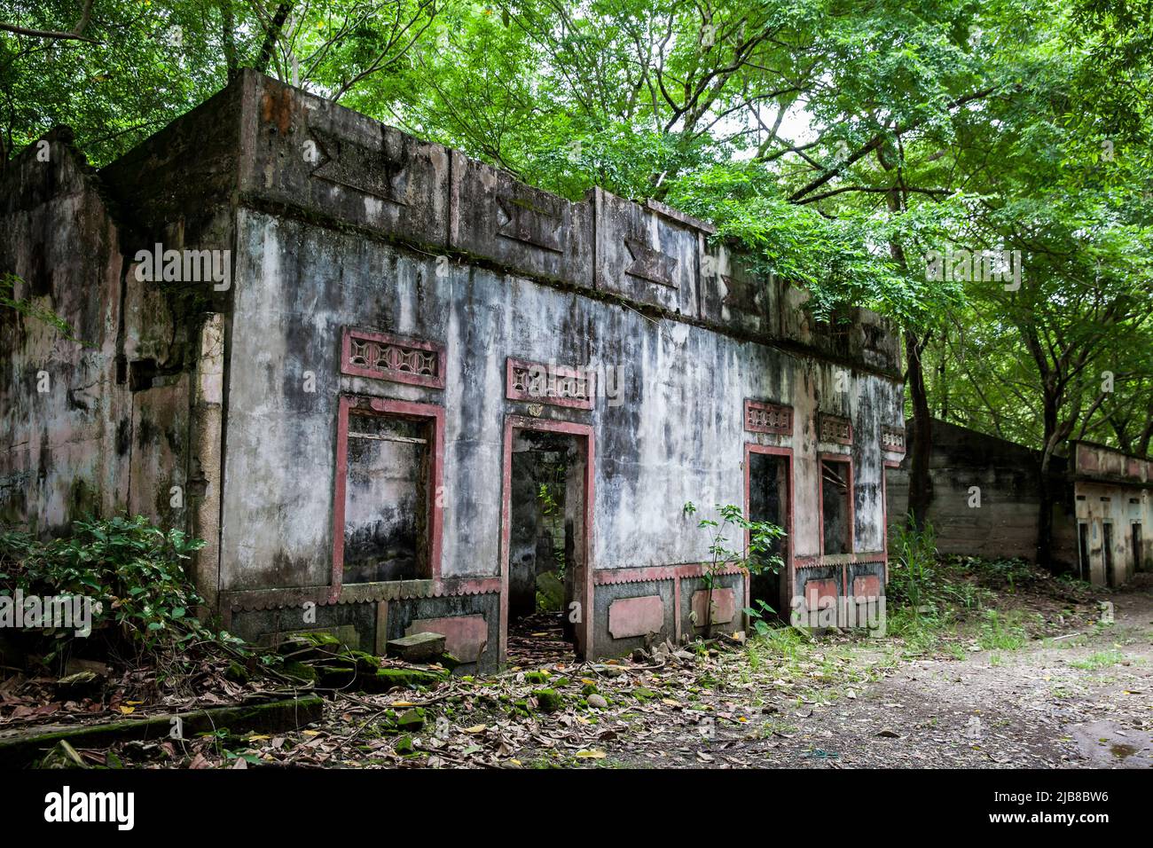 Remains of the destroyed houses of the Armero Town covered by trees and ...