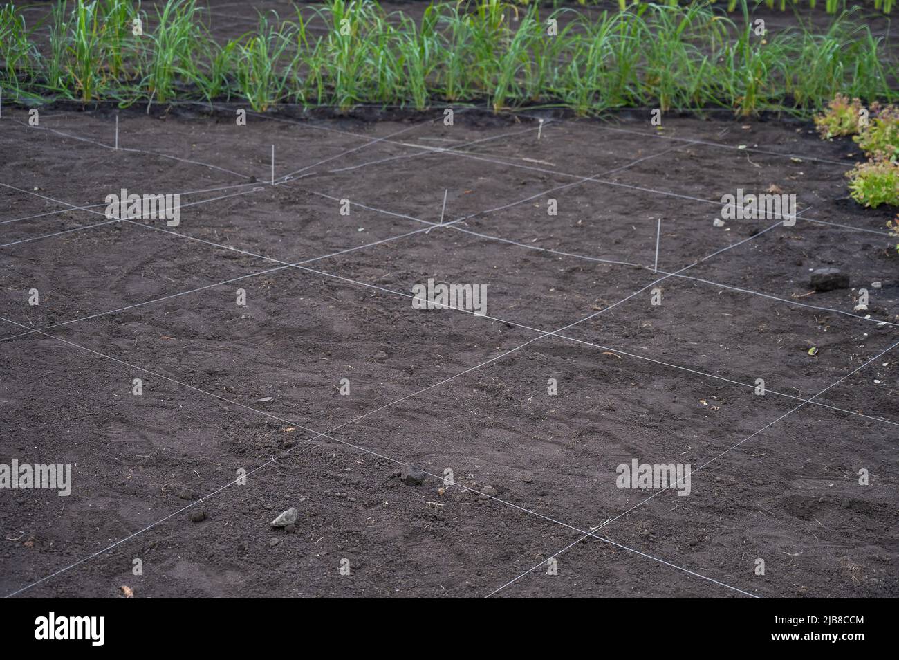 Landscaping. A lined plot of land for planting ornamental plants Stock ...
