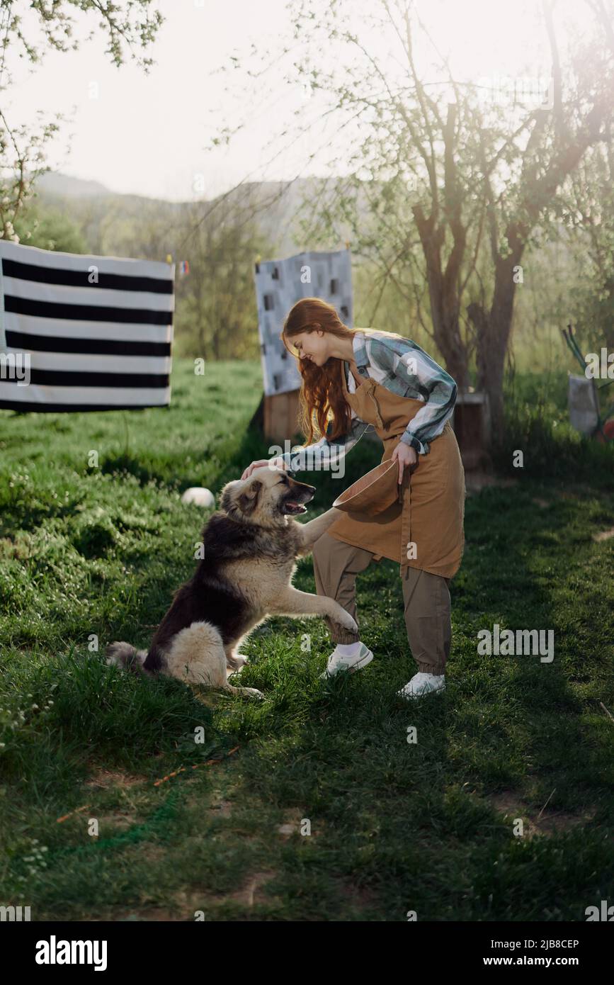 Woman stroking her big furry dog on. farm in the countryside against a ...
