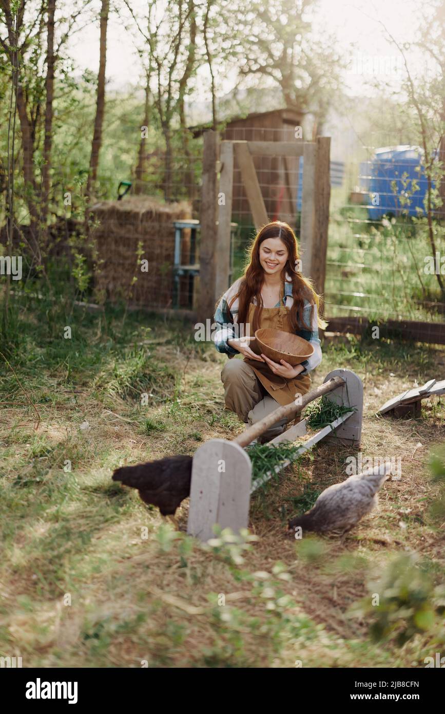 A woman works on a farm and feeds her chickens healthy food, putting ...