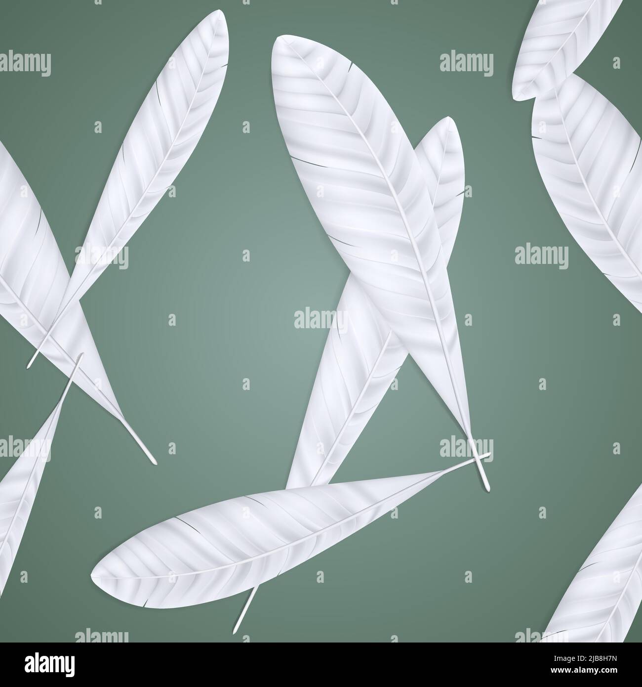 Seamless pattern of beautiful white white feathers. EPS10 opacity in ...