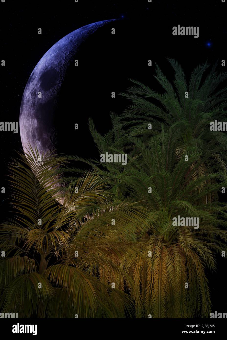 Fantasy palm trees and crescent moon, elements for this image furnished ...