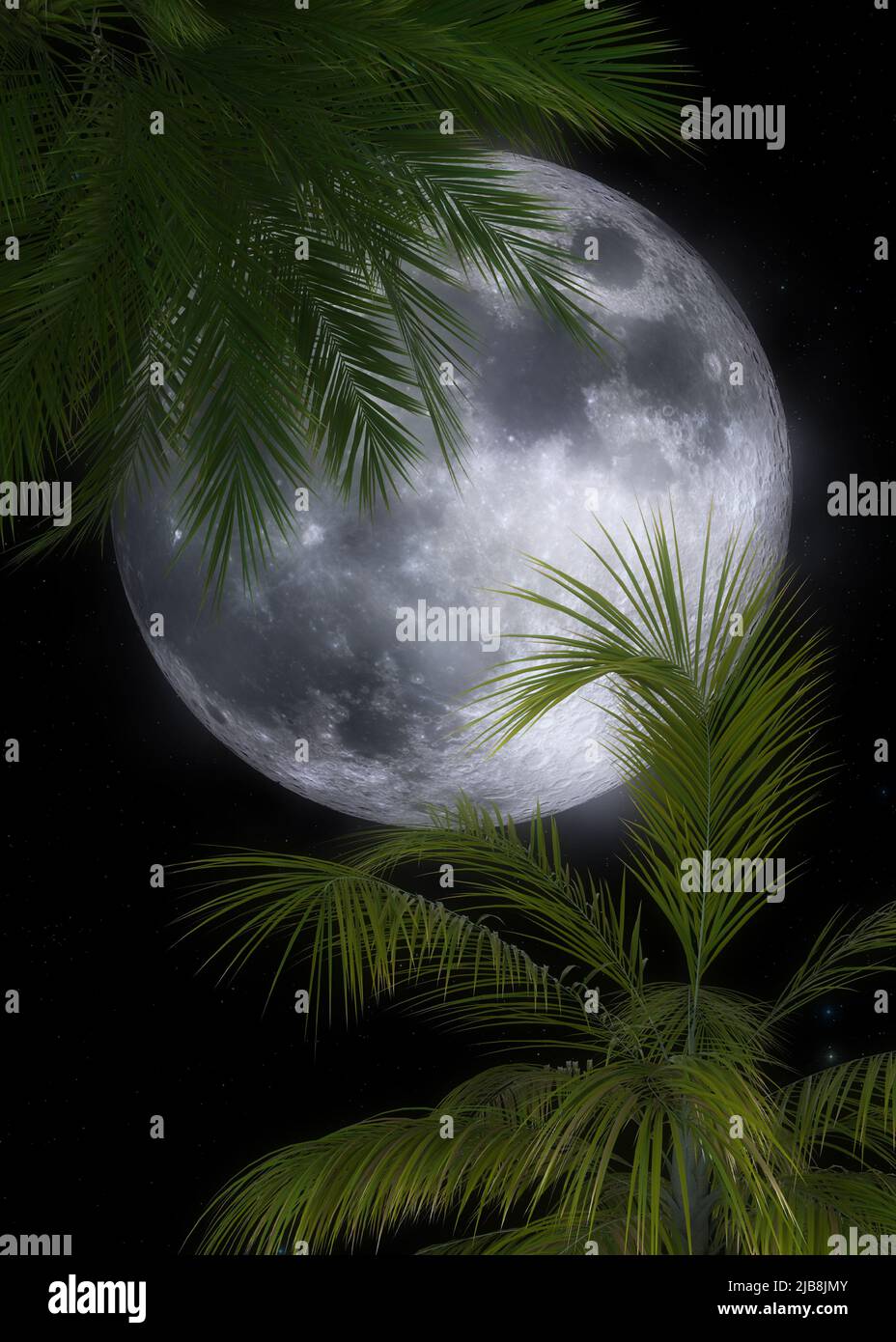 Fantasy palm trees and full moon, elements for this image furnished by ...