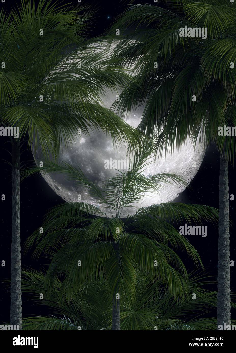 Fantasy palm trees and full moon, elements for this image furnished by ...