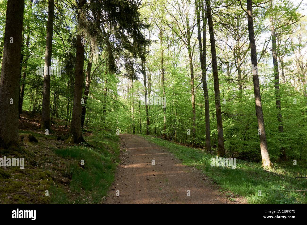 Pathway rays light tunnel hi-res stock photography and images - Alamy