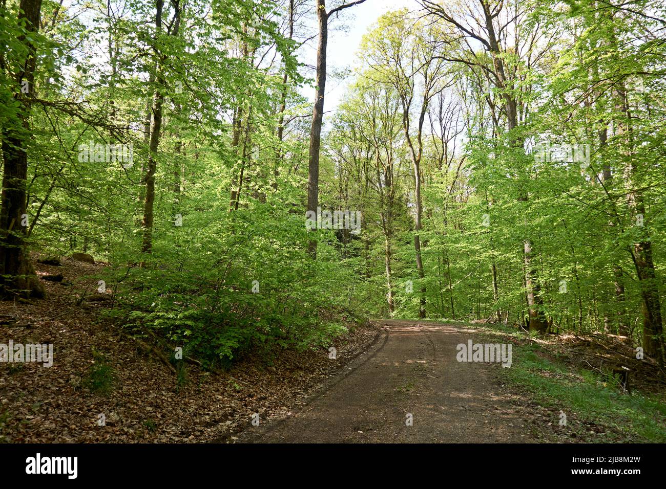 Pathway rays light tunnel hi-res stock photography and images - Alamy