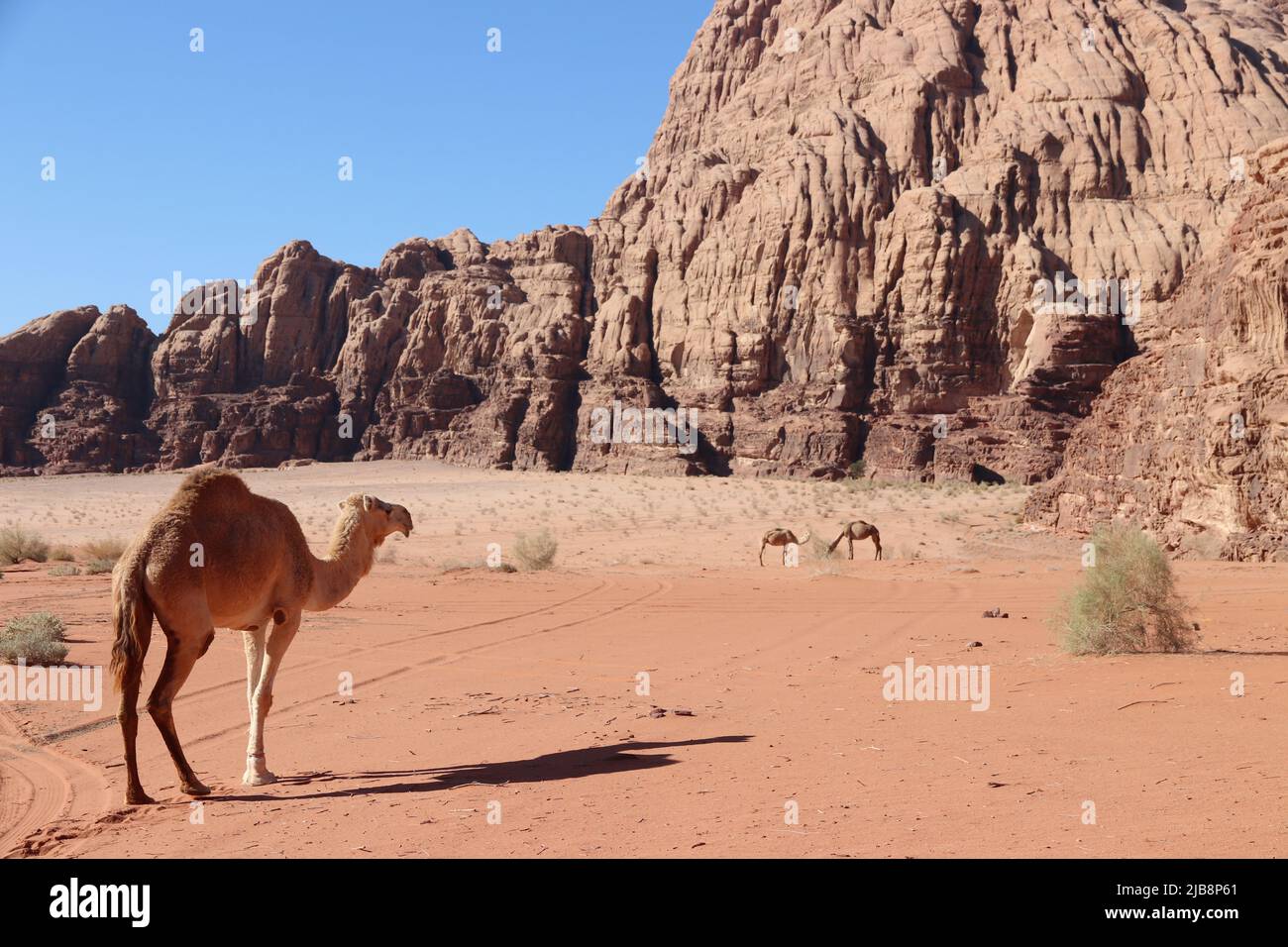 Wadi Rum Desert - Jordan Stock Photo - Alamy