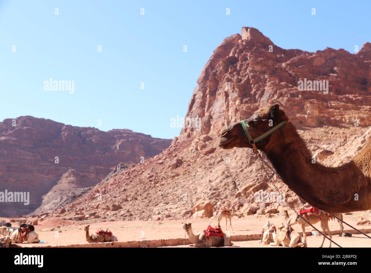Wadi Rum Desert - Jordan Stock Photo - Alamy