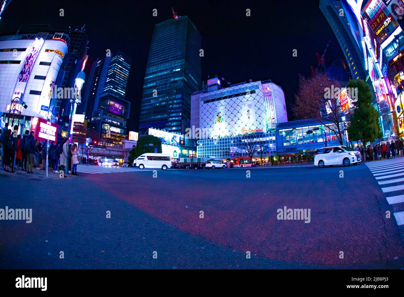 Night crossing at the neon town in Shibuya Tokyo Stock Photo - Alamy
