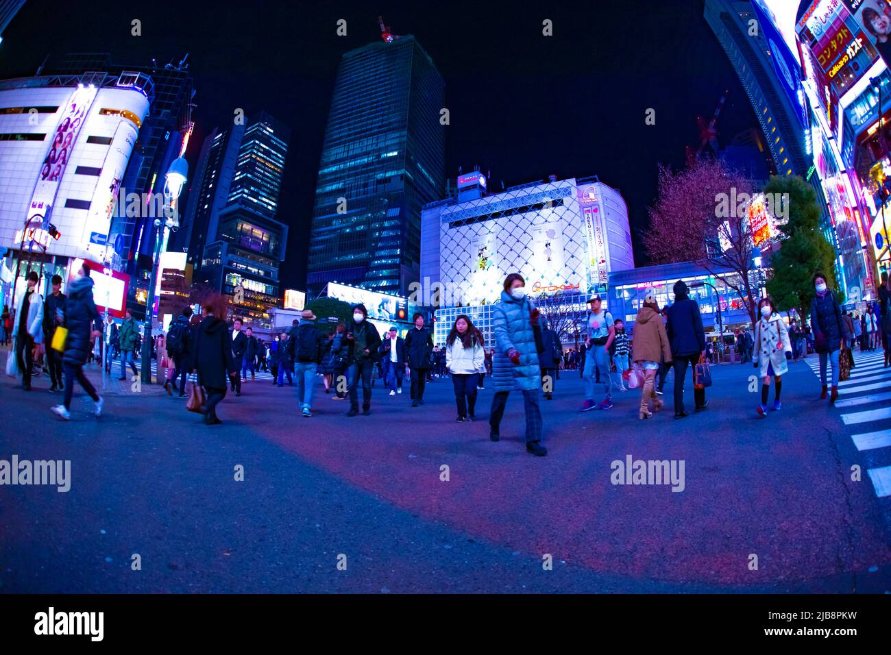 Night crossing at the neon town in Shibuya Tokyo Stock Photo - Alamy