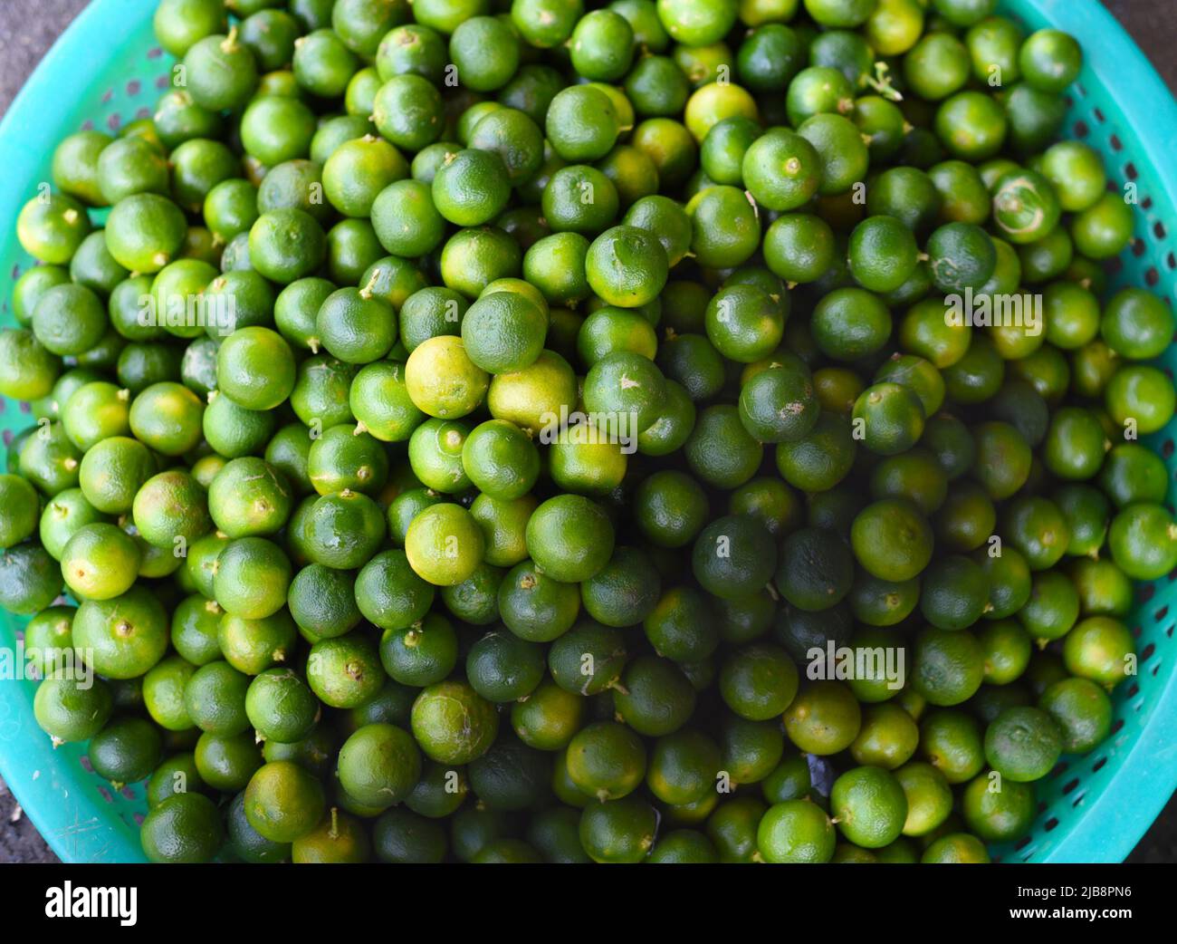 Many little lime fruits in Vietnamese market Vinh Hai Stock Photo - Alamy