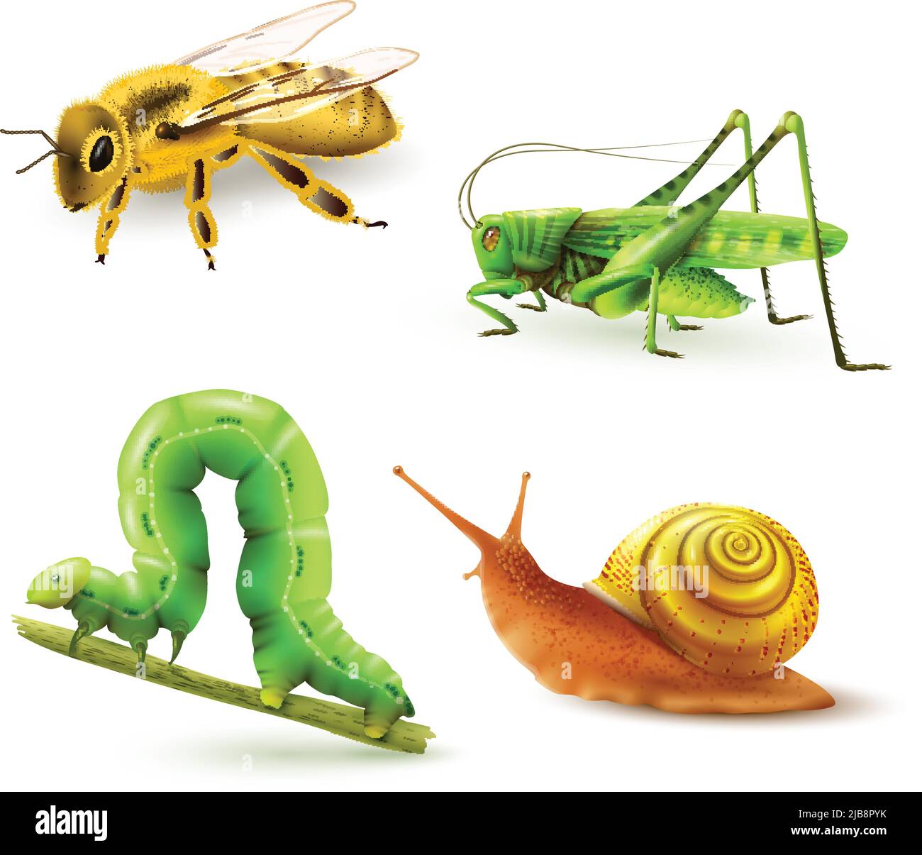 Insects realistic colored decorative icons set with wasp grasshopper ...