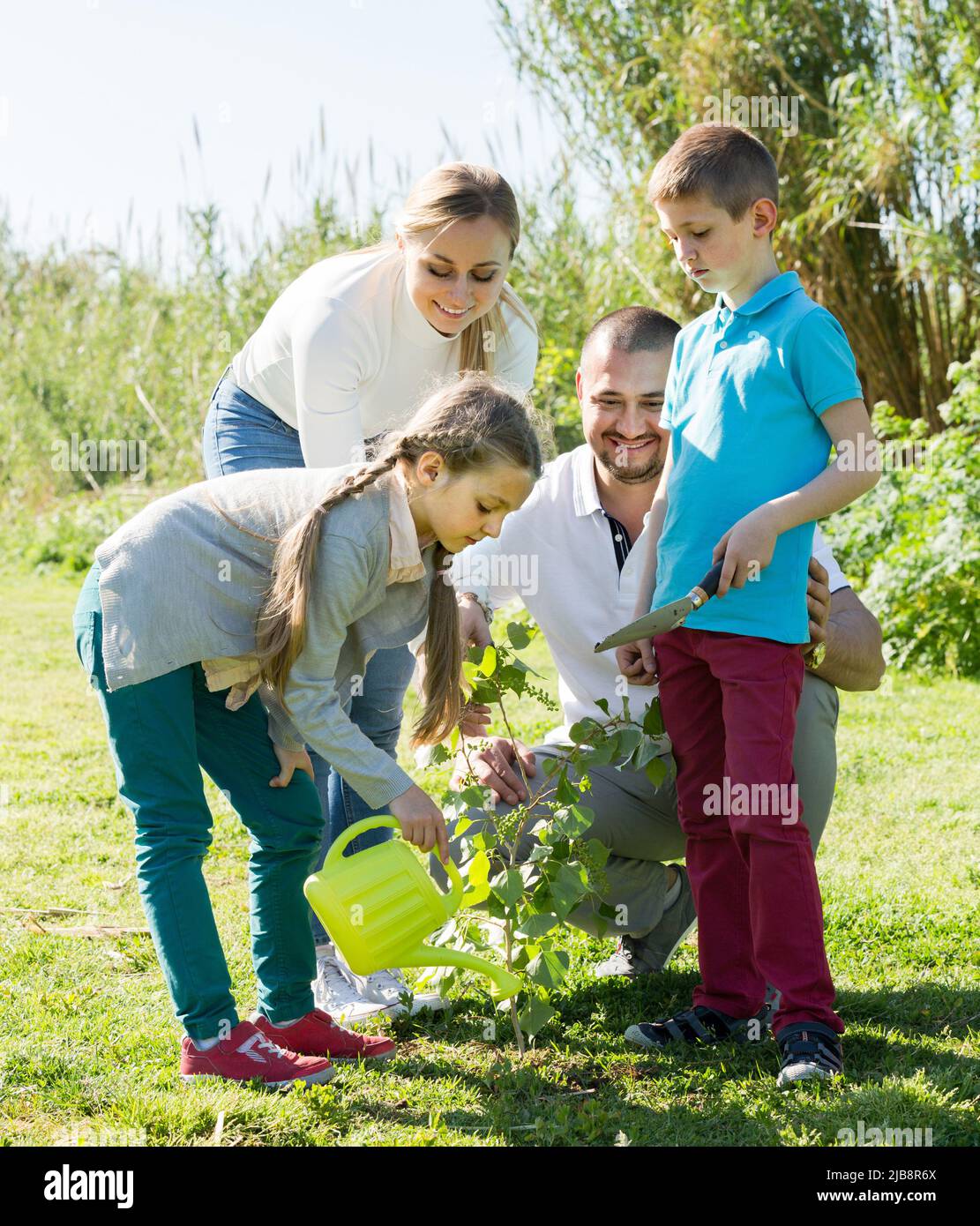 family planting tree outdoors Stock Photo - Alamy