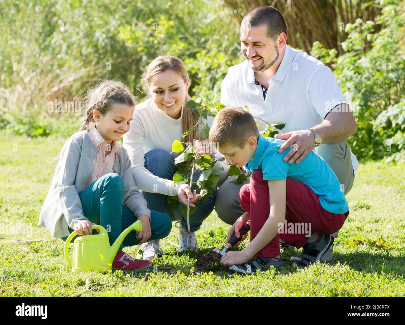 family planting tree outdoors Stock Photo - Alamy