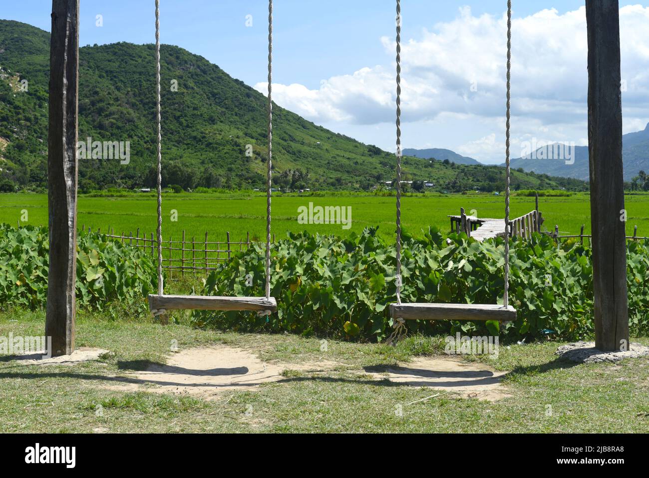 Field in vietnam hi-res stock photography and images - Alamy