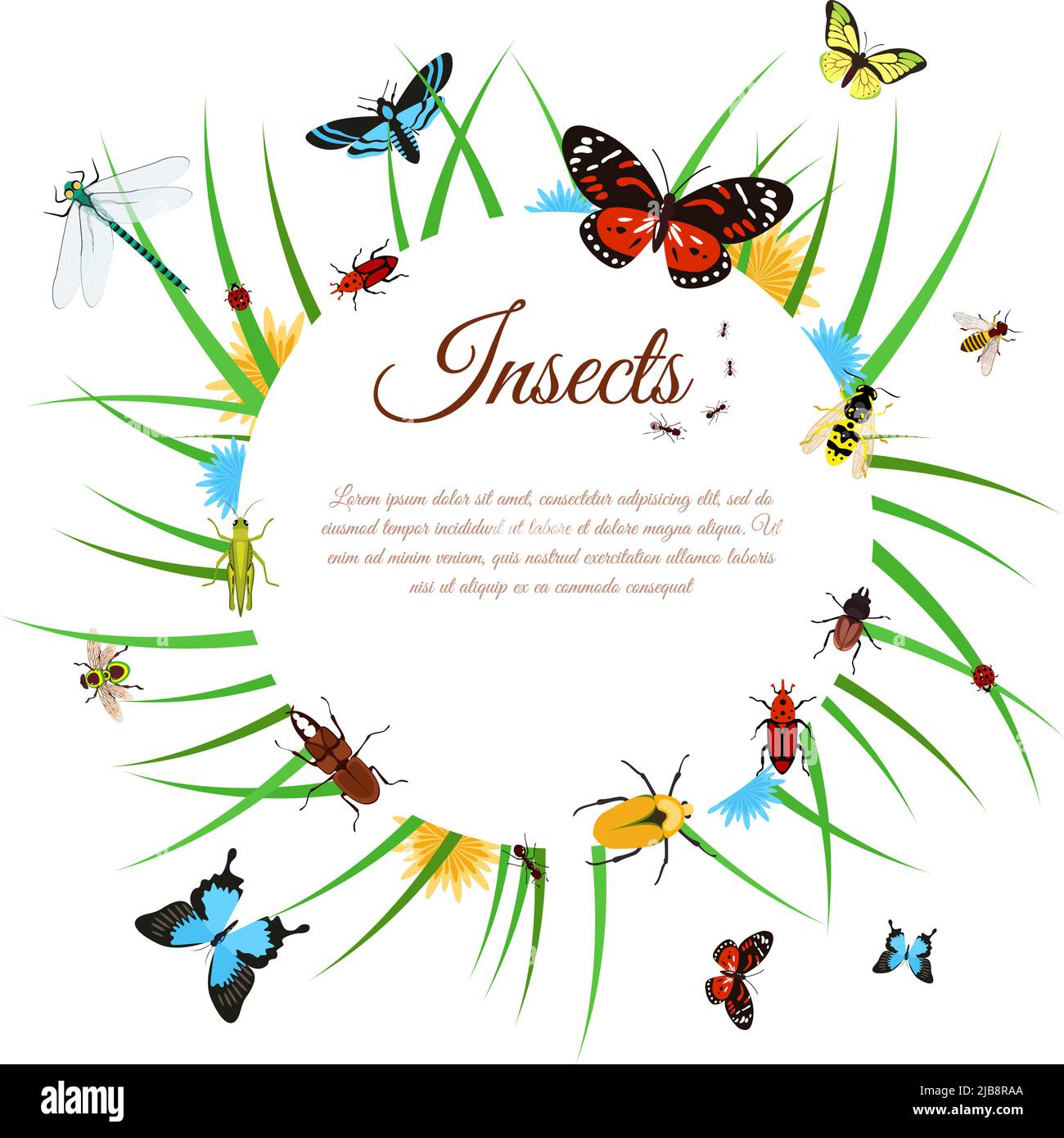 Insects background with butterflies dragonflies and bees in grass ...