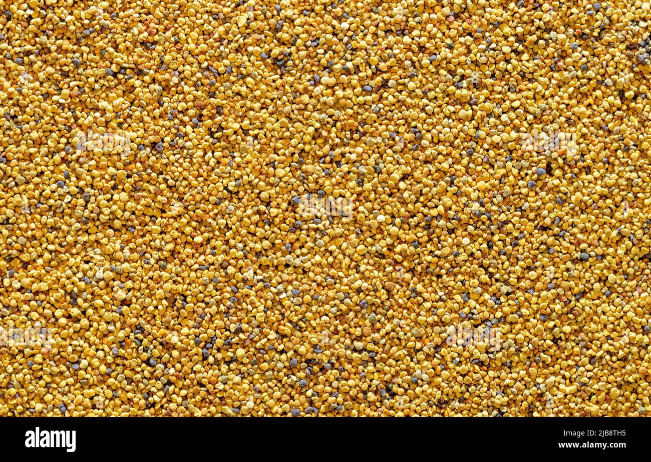 Top view with a pile of bee pollen grains. Yellow background with lots ...