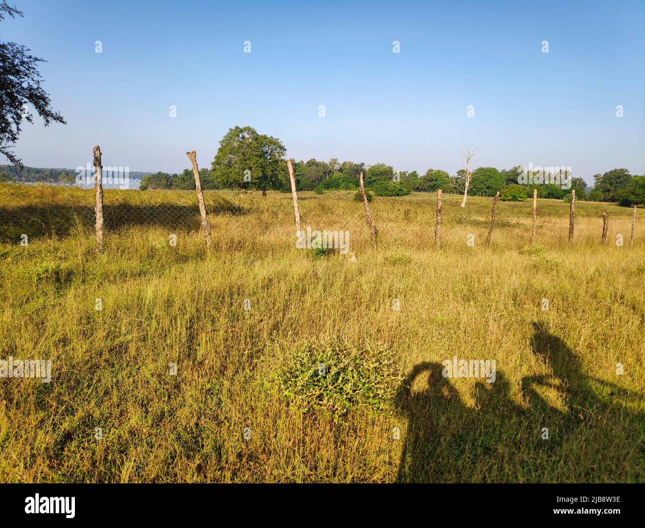 Shadow of tourists on a safari in a tropical forest in a national park ...