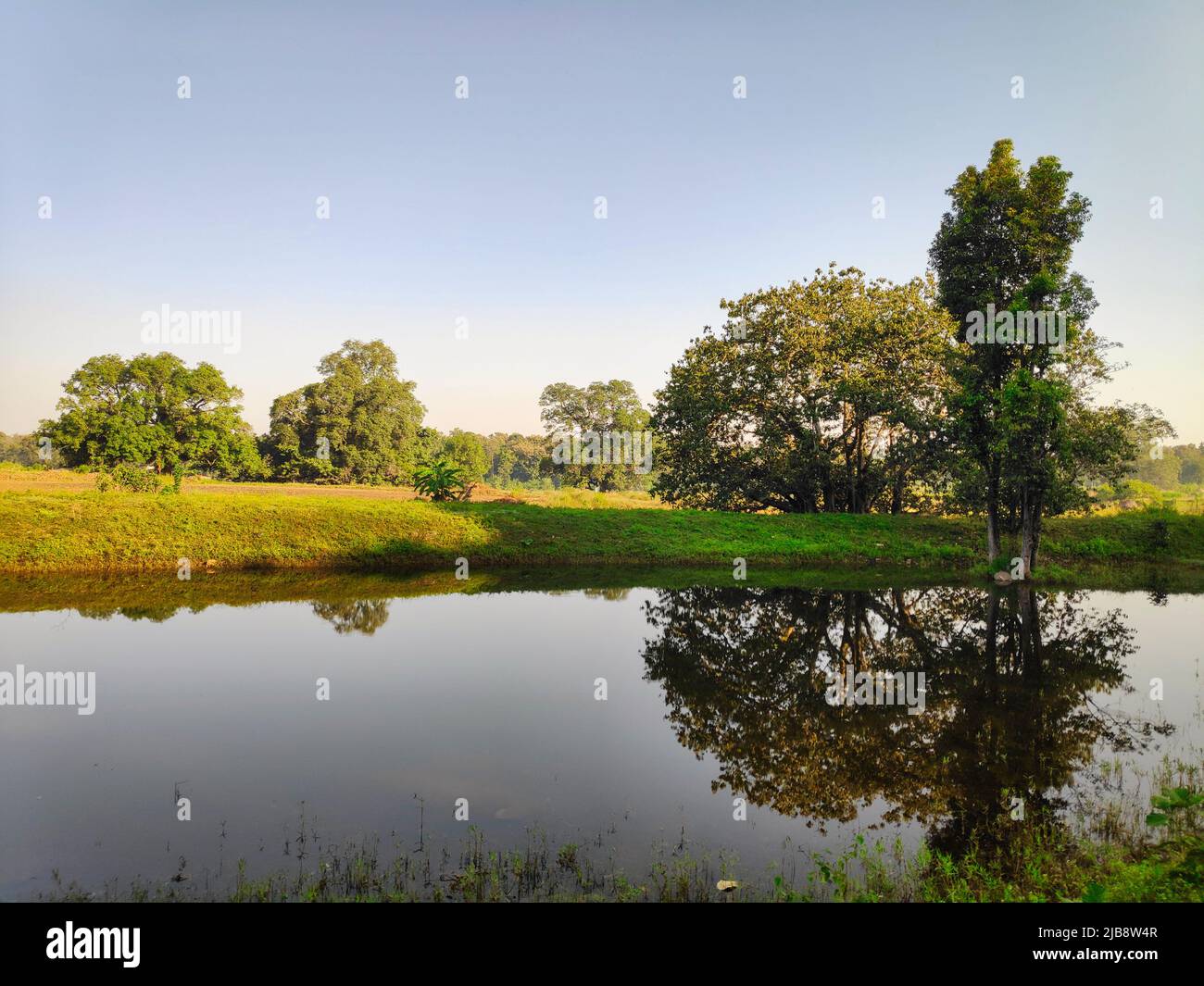 A pond in a tropical forest in a national park in India Stock Photo - Alamy