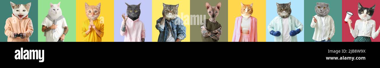 Set of cute cats with human bodies on colorful background Stock Photo ...
