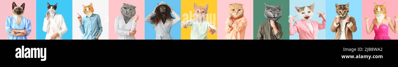 Set of cute cats with human bodies on colorful background Stock Photo ...