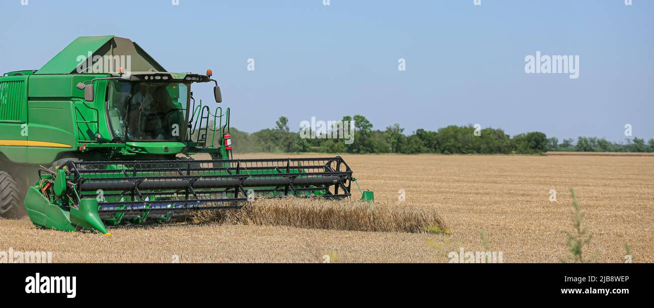 Combine harvester in wheat field. Banner for design Stock Photo - Alamy