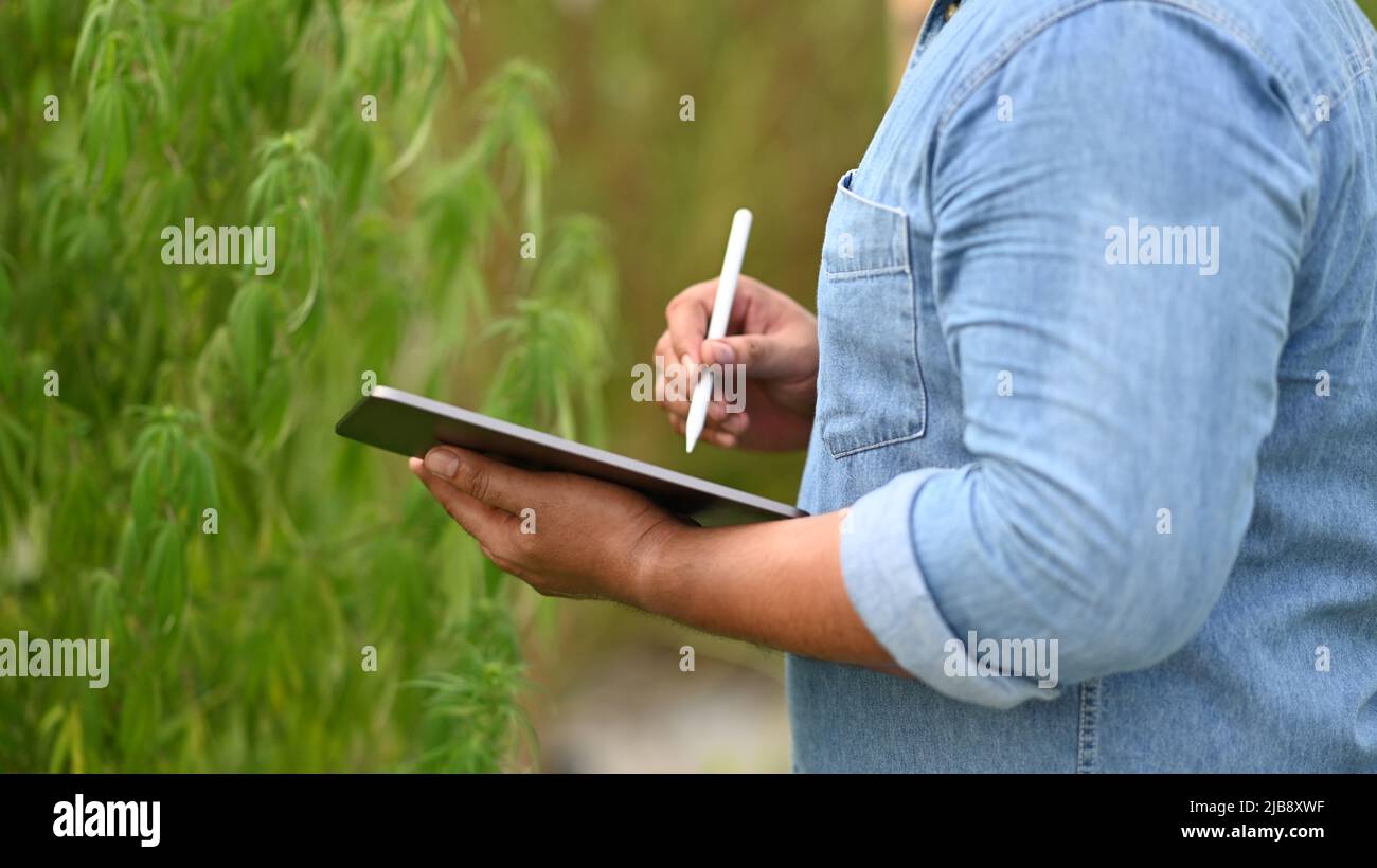 Smart weed hi-res stock photography and images - Alamy