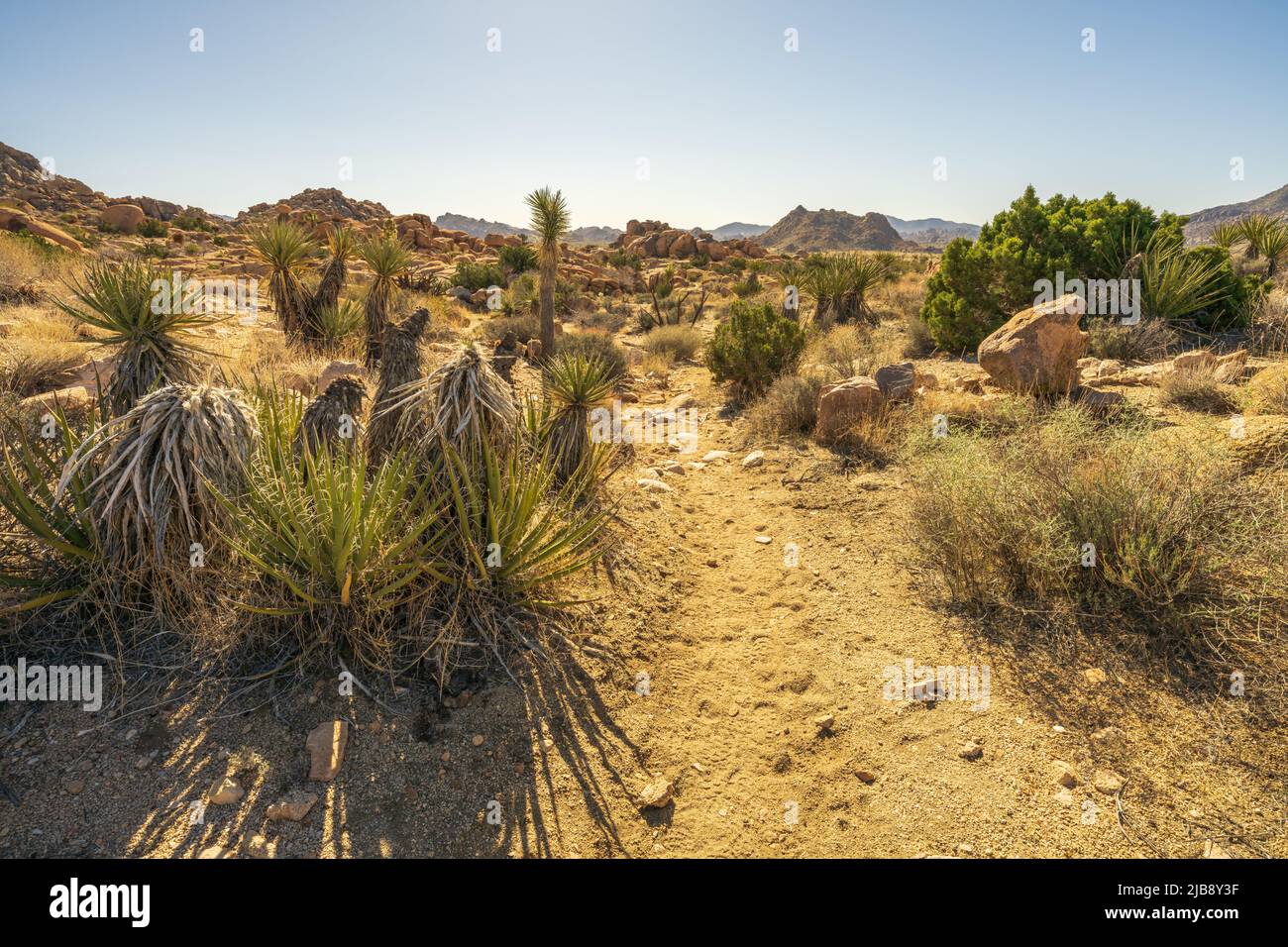 hiking the maze loop in joshua tree national park in california, usa ...