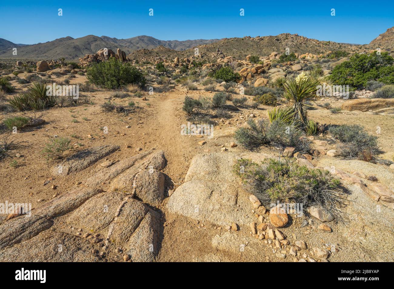 hiking the maze loop in joshua tree national park in california, usa ...