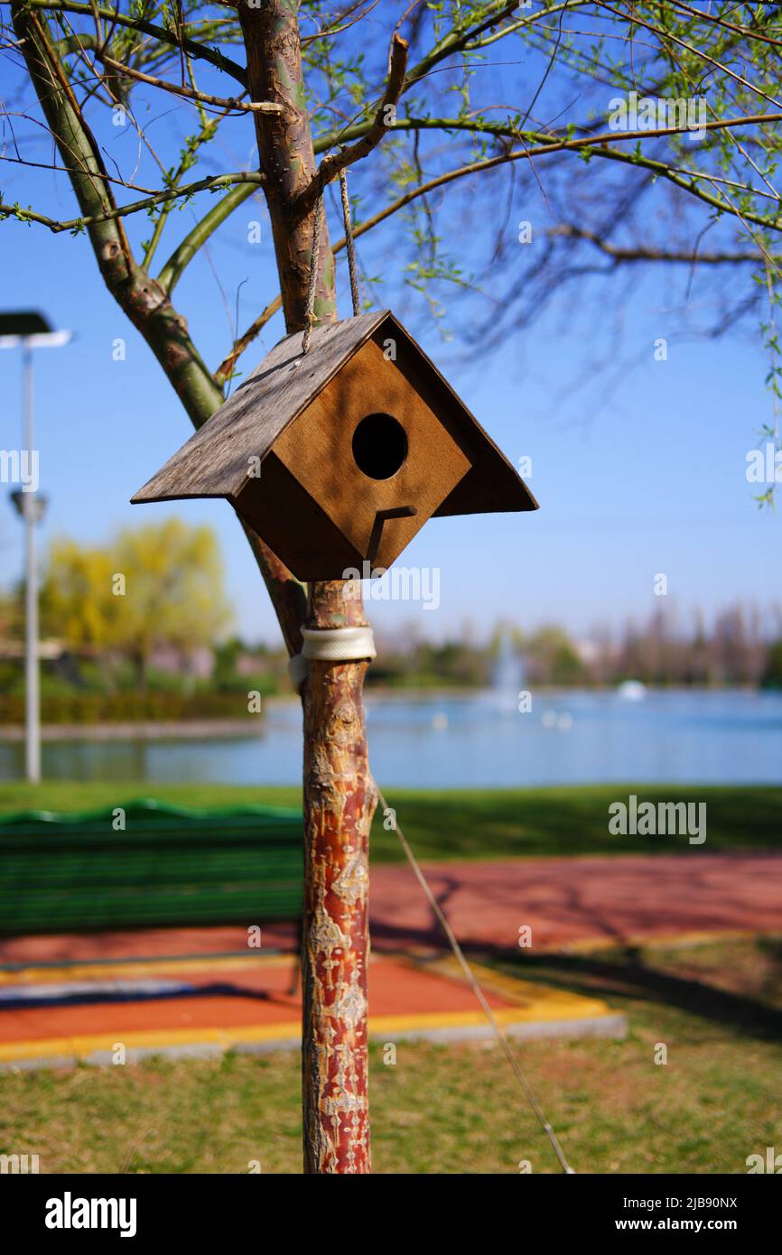 Wooden Bird-house at lakeside within trees at Park summertime Stock ...